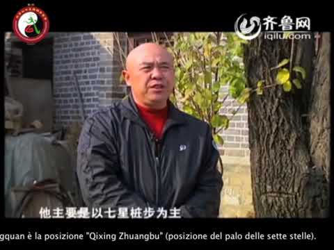 Tanglangquan - GM Lin Dongzhu