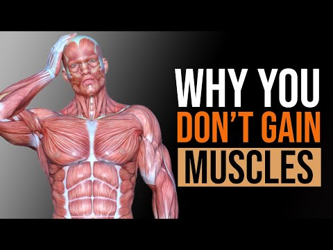 10 Reasons Why You Don’t Gain Muscle
