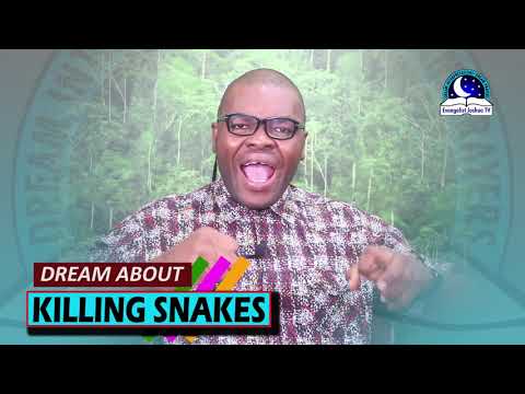 DREAM ABOUT KILLING A SNAKE - Find Out The Biblical Meaning Of Dream