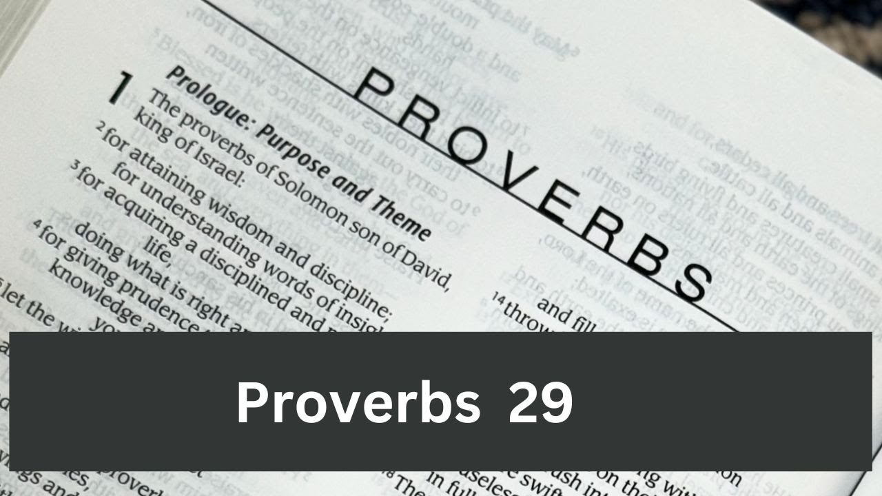 Proverbs 29 #proverbs #proverbs29  #devotional #spirituality #jesus #wisdom #biblestudy