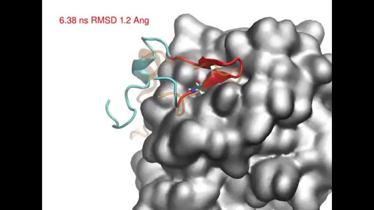 Molecular docking of RAD51-BRCA2 BRC repeat complex
