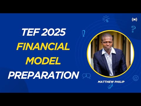 How to Fill the TEF 2025 Financial Model Template to Secure the Grant - Step-by-Step Guide