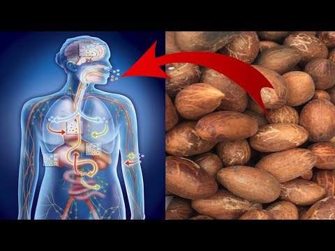 12 Amazing Health Benefits of Bitter Kola You Need to Know