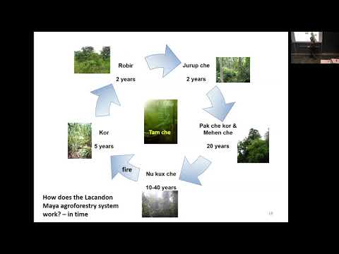 Stewart Diemont: Traditional ecological knowledge guiding agroecosystem structure & function...