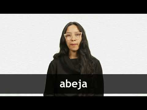 English Translation of “ABEJA” | Collins Spanish-English Dictionary