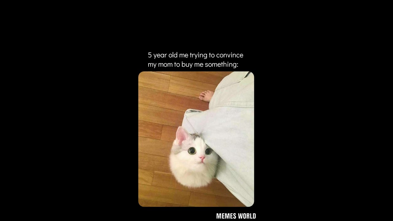 Daily Funny Memes | FunnyMemes Compilation | Daily Memes#shorts