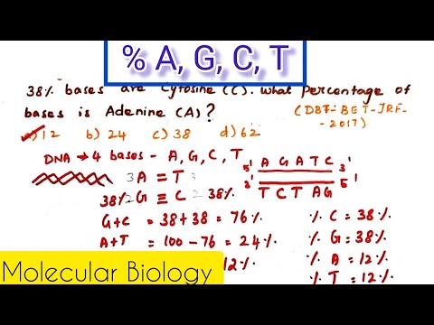 How to calculate %composition of bases in DNA | What is % of Adenine if % of Cytosine is 38%