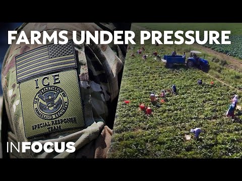How ICE raids are impacting California's farms | In Focus