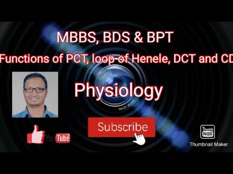 Functions of PCT, Loop of Henele, DCT and CD..