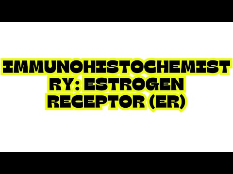 IMMUNOHISTOCHEMISTRY: ESTROGEN RECEPTOR (ER)