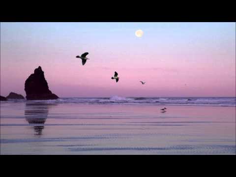 Anthony Island - Goodbye