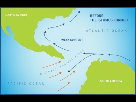 The Divergence of The Caribbean and Pacific Ocean Basins