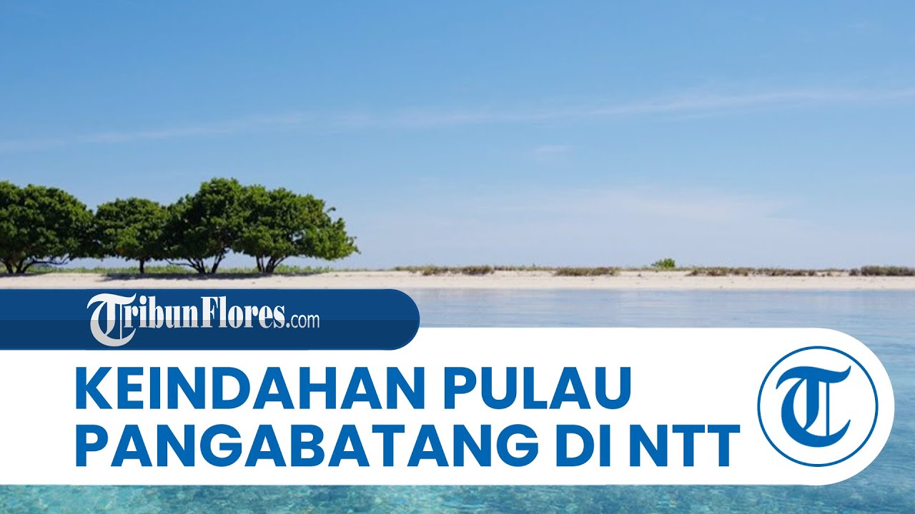 Mengintip Keindahan Pulau Pangabatang di Sikka NTT, Pulau Kecil yang ...