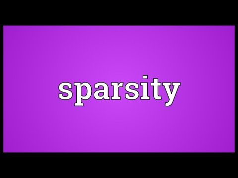 Sparsity Meaning