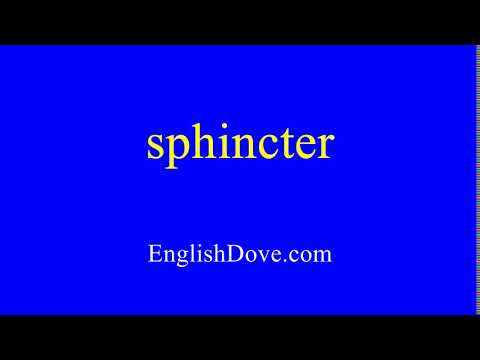 How to pronounce sphincter in American English.