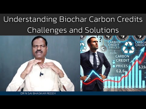 Understanding Biochar Carbon Credits Challenges and Solutions
