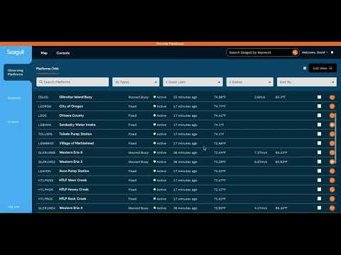 How to see platforms as a list in Console View | Seagull