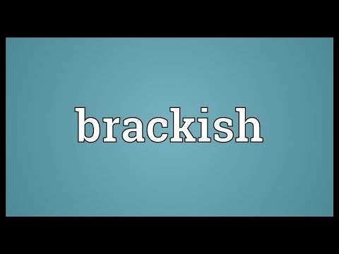 Brackish Meaning