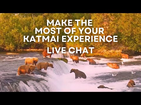 Make the Most of Your Katmai Experience | Brooks Live Chat