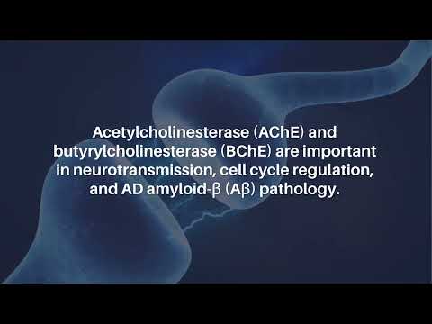 Senolytic Inhibition of Cholinesterases in Aging & Alzheimer's | Aging-US