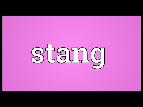 Stang Meaning