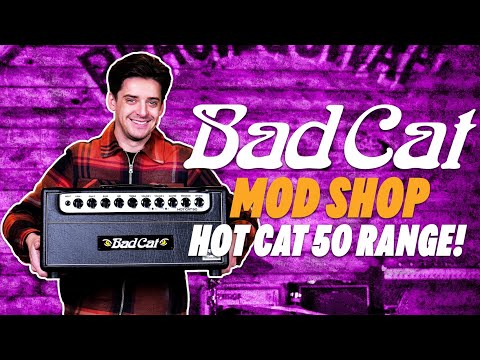 Bad Cat Mod Shop Hot Cat 50 - Amp Head | Reverb