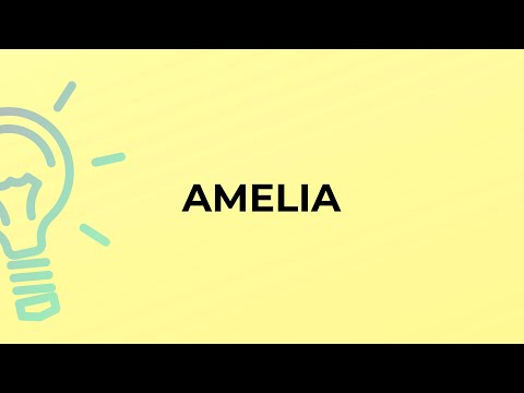 What is the meaning of the word AMELIA?