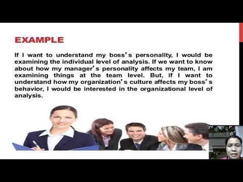 OVERVIEW OF HUMAN BEHAVIOR IN ORGANIZATION x264