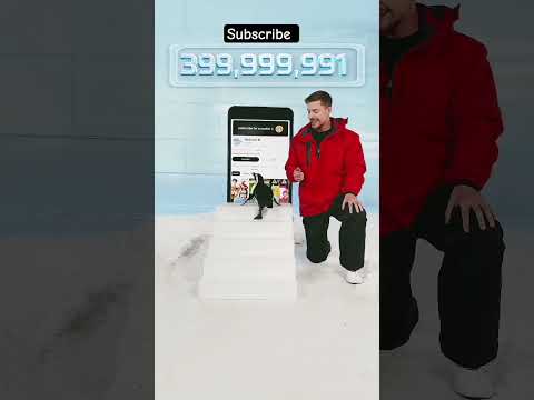 Can a Penguin ???? Learn to Subscribe Like MrBeast?! ???????? | #Shorts #SubscribeChallenge