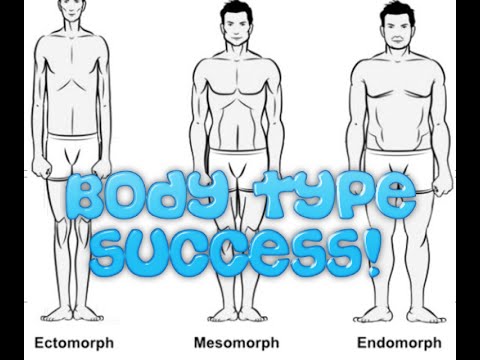 Body Type Success- Endomorph