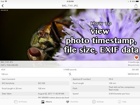 How to find the Photo Time Stamp and EXIF Metadata On iPhone or iPad