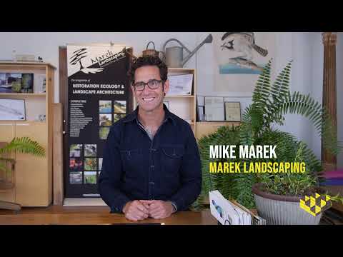 Marek Landscaping 1