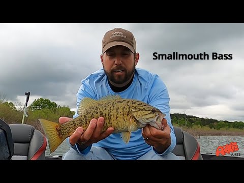 How to Identify Bass - Different Bass in Arkansas