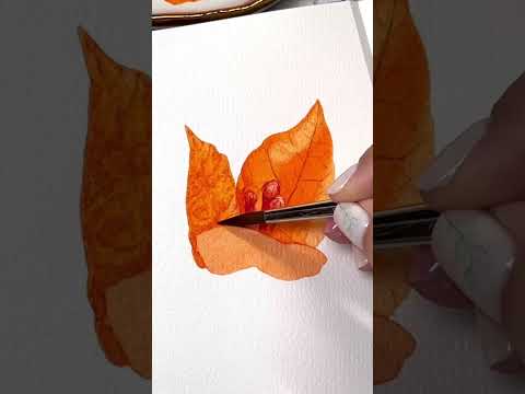 Veranera in Spanish, how do you know it? Let’s paint #shorts