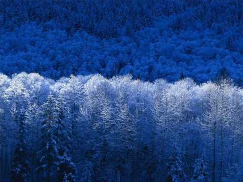 Dj Lifestyle - Poker face