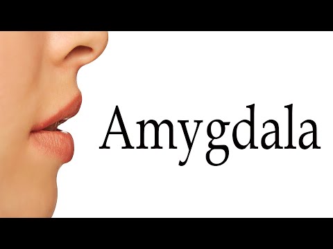 How To Say Amygdala
