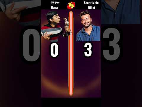 Sw Pet House VS Shehr Mein Dihat  #shorts #comparison