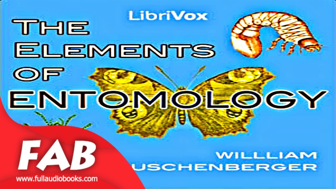 Exploring the Elements of Entomology: A Comprehensive Overview | Galaxy.ai