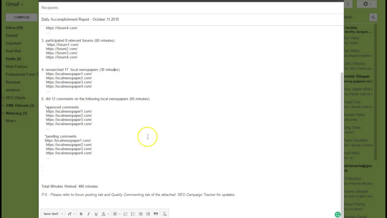 Daily Accomplishment Report Format