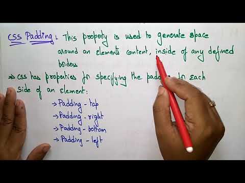 Learn css padding | CSS tutorials | by bhanu priya - Mind Luster