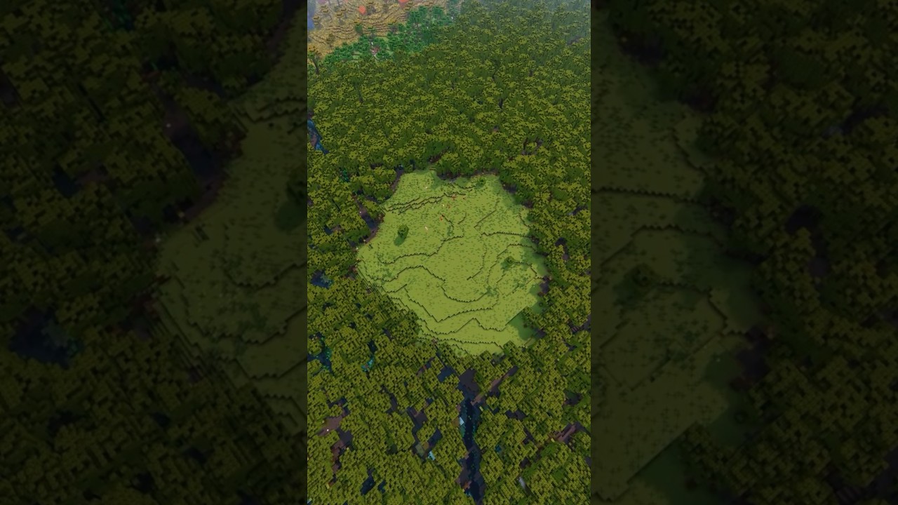 Plains Surrounded By Mangrove Minecraft Seed!