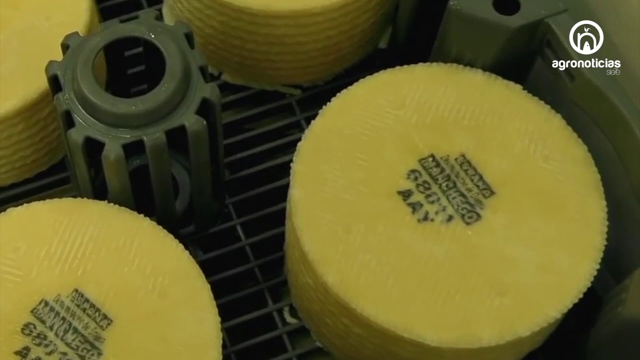 MANCHEGO-TYPE CHEESE?