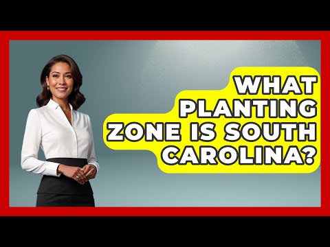 What Planting Zone Is South Carolina? - The Plant Enthusiast