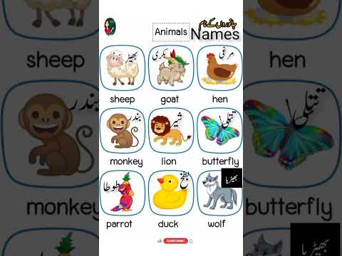 Animals names in English | vocabulary building| animals Names with Urdu meaning by your Home Teacher
