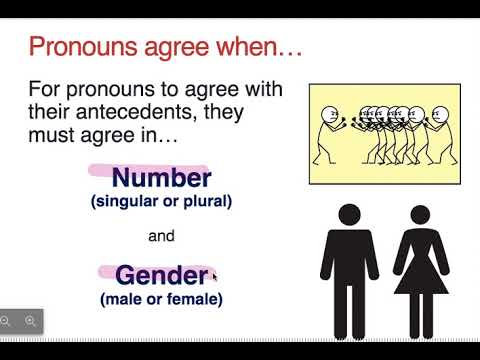 Pronoun Antecedent Agreement Lesson