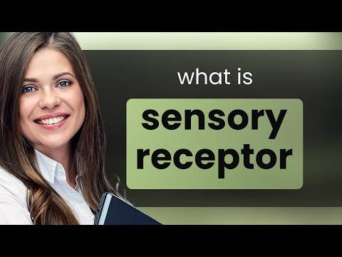 Sensory receptor | meaning of SENSORY RECEPTOR
