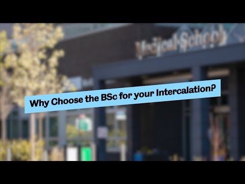 Medicine | Why Choose the BSc as Your Intercalated Degree?