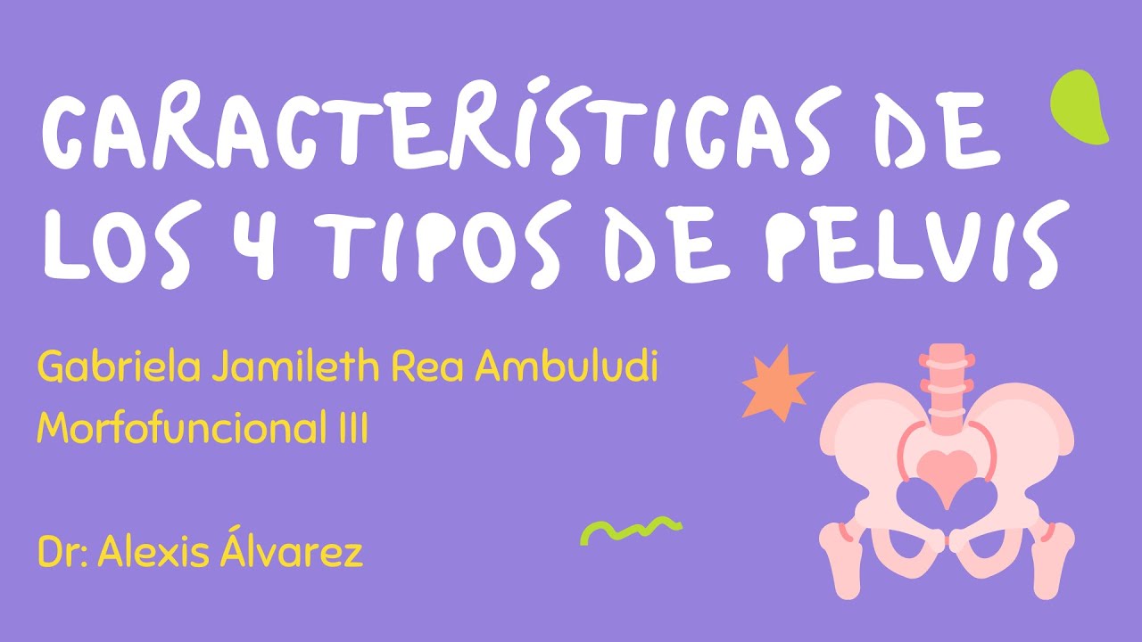 TIPOS DE PELVIS| GINECOIDE - ANDROIDE - ANTROPOIDE - PLATIPELOIDE