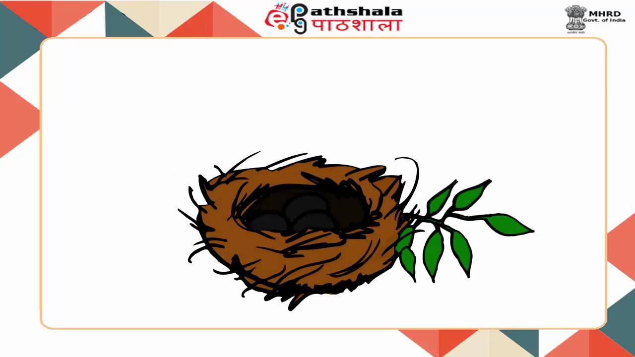 Unit 2 - Computational Intelligence Paradigms