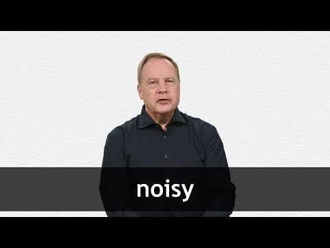 How to pronounce NOISY in American English